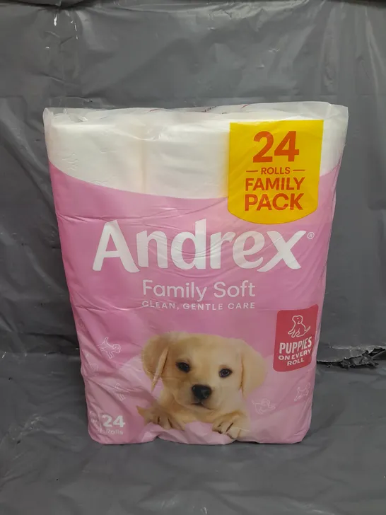 Lot 960: ANDREX FAMILY SOFT WHITE TOILET ROLL, PACK OF 24 - 4931543 ...
