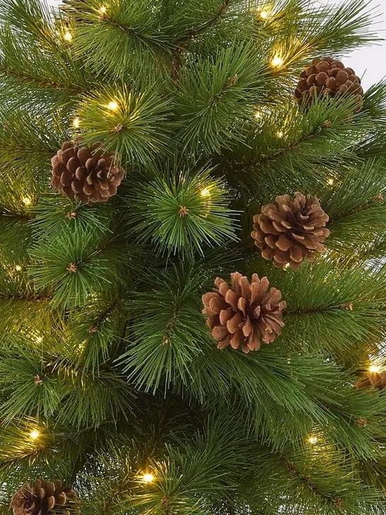 Lot 407: LIT PARASOL TREE IN HESSIAN BAG - 4984802 | Simon Charles ...