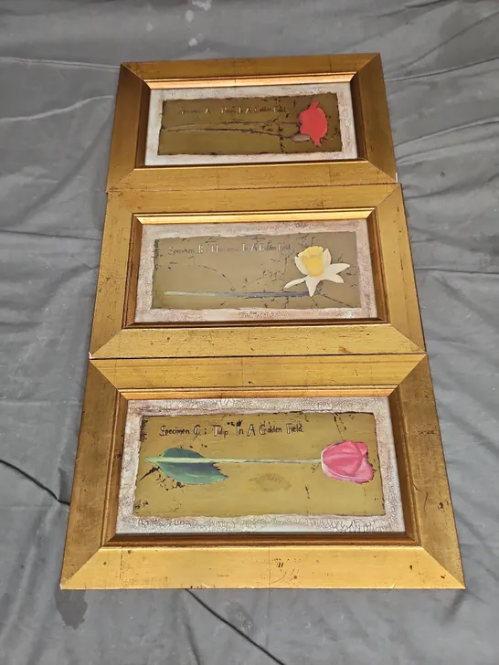 Lot 3015: DAN HELY LOT OF 3 ASSORTED FRAMED FLOWER PAINTINGS ...