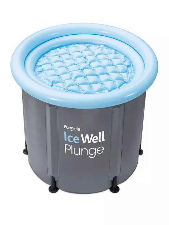 Lot 2078: BOXED FUNSICLE ICE WELL PLUNGE - 5218604 | Simon Charles ...