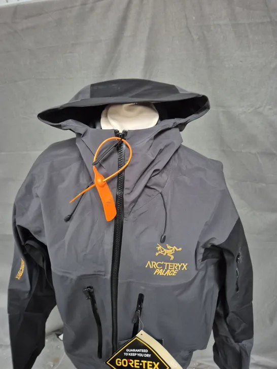Lot 9535: ARC'TERYX GORE-TEX REDSTEN PARKA JACKET - LARGE - 5093127 ...