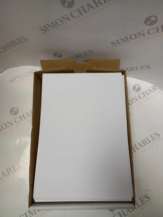 Lot 6384: BOX OF SHEET LABELS 18UP LABEL SET 500 SHEETS - 4425634 ...