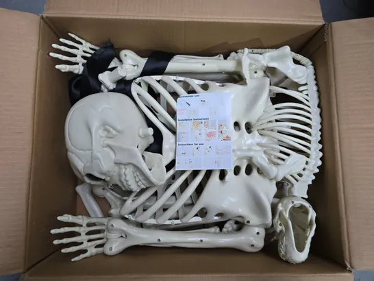 Lot 4094: ANATOMICAL SKELETON MODEL FOR EDUCATION/DECORATION – BOXED ...